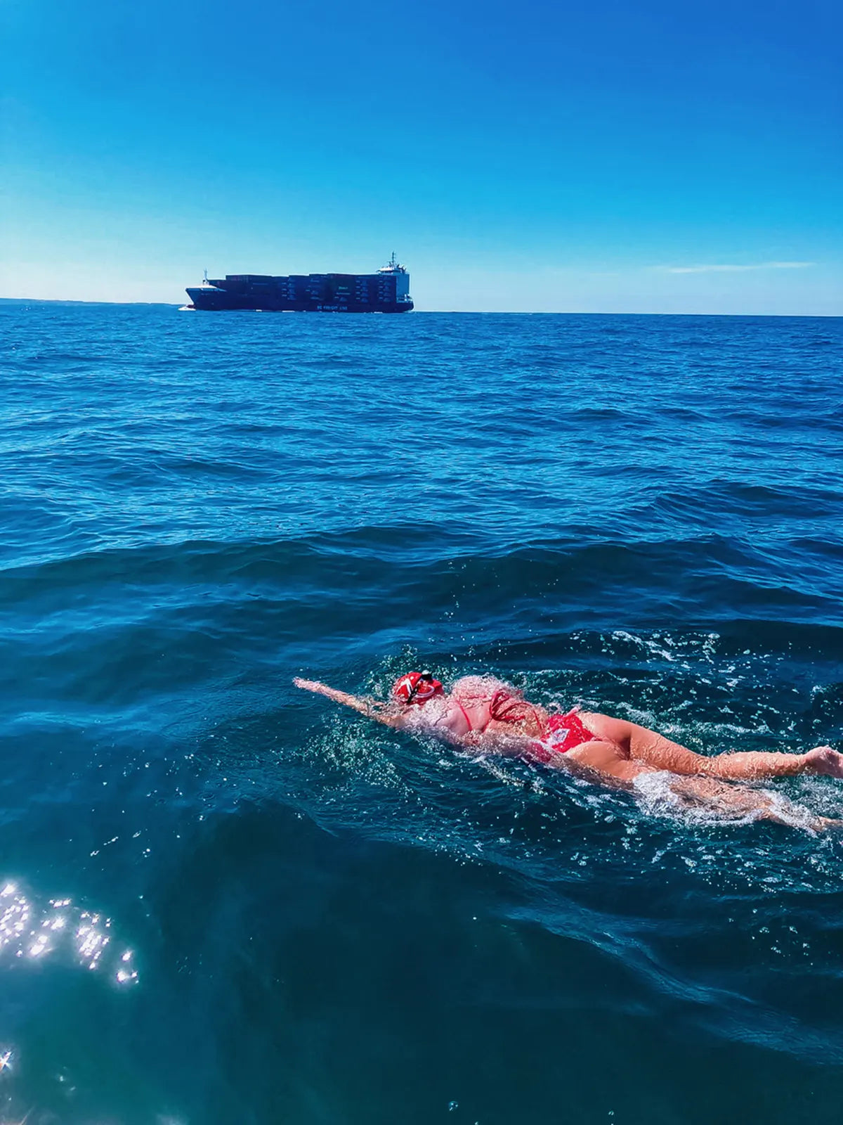 Meet Series: Channel Swimmer Cat – Usual Objections